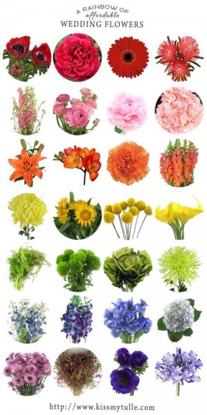 5 Spring Wedding Themes - Superior Celebrations Blog