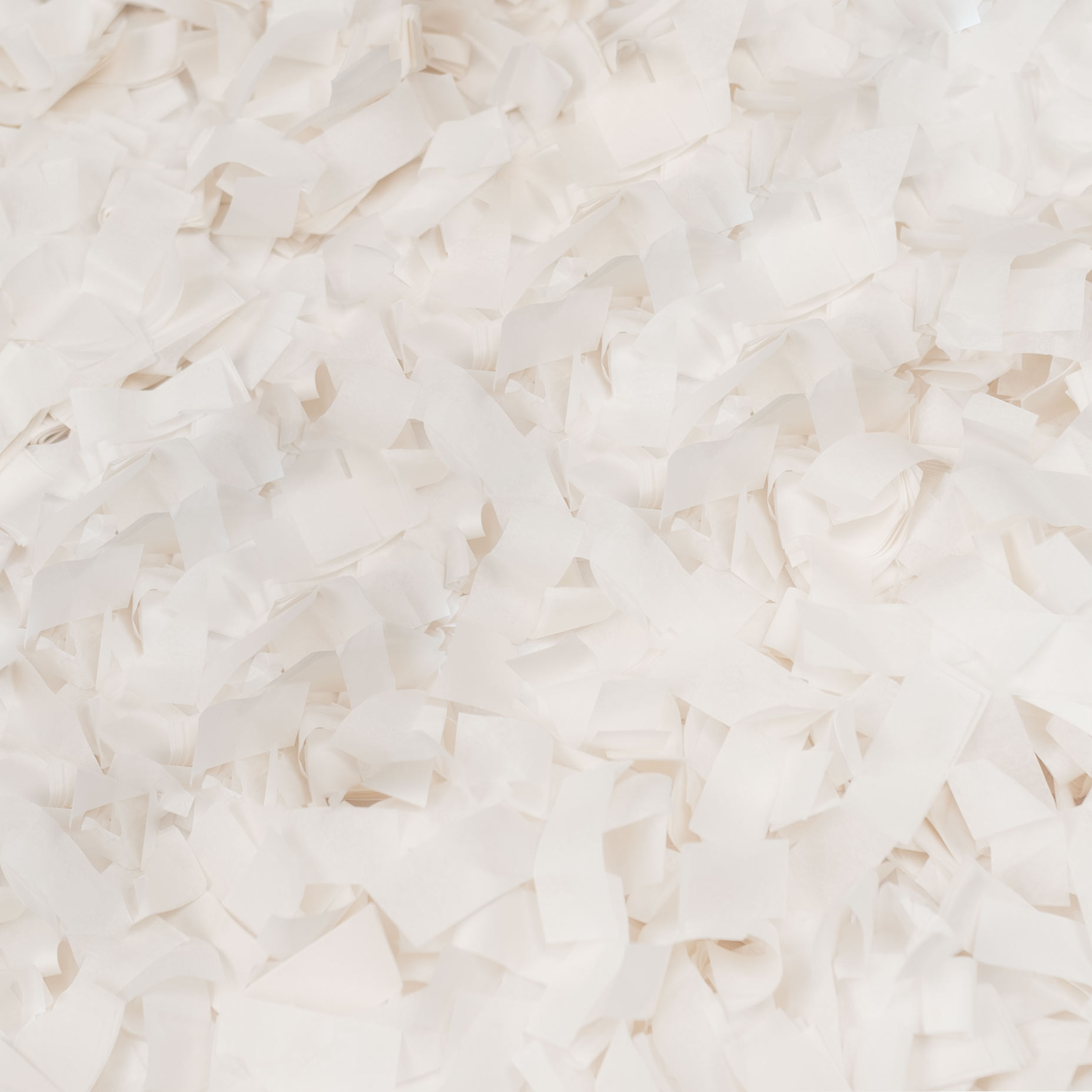 White Confetti Cannon – Superior Celebrations