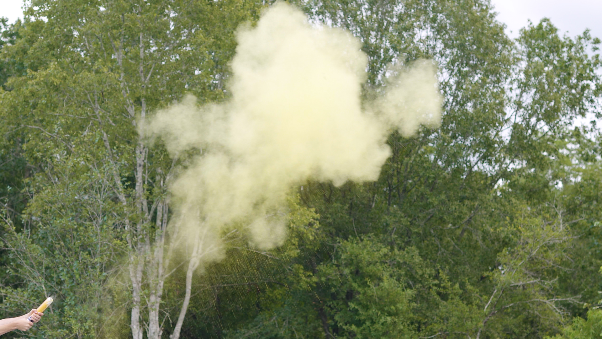 Yellow Powder Cannon – Superior Celebrations